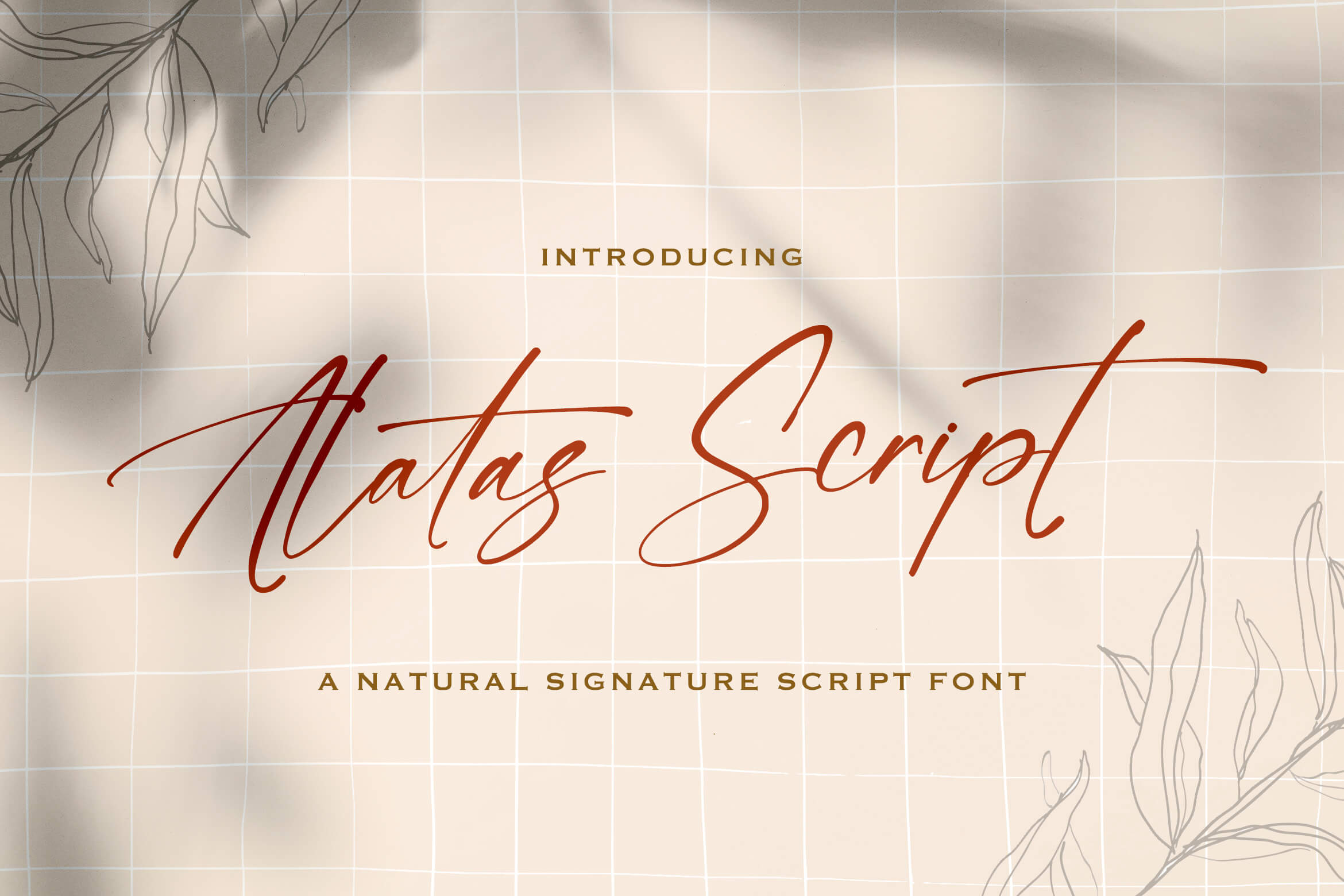 Alatas Script - Signature Script Font - StringLabs